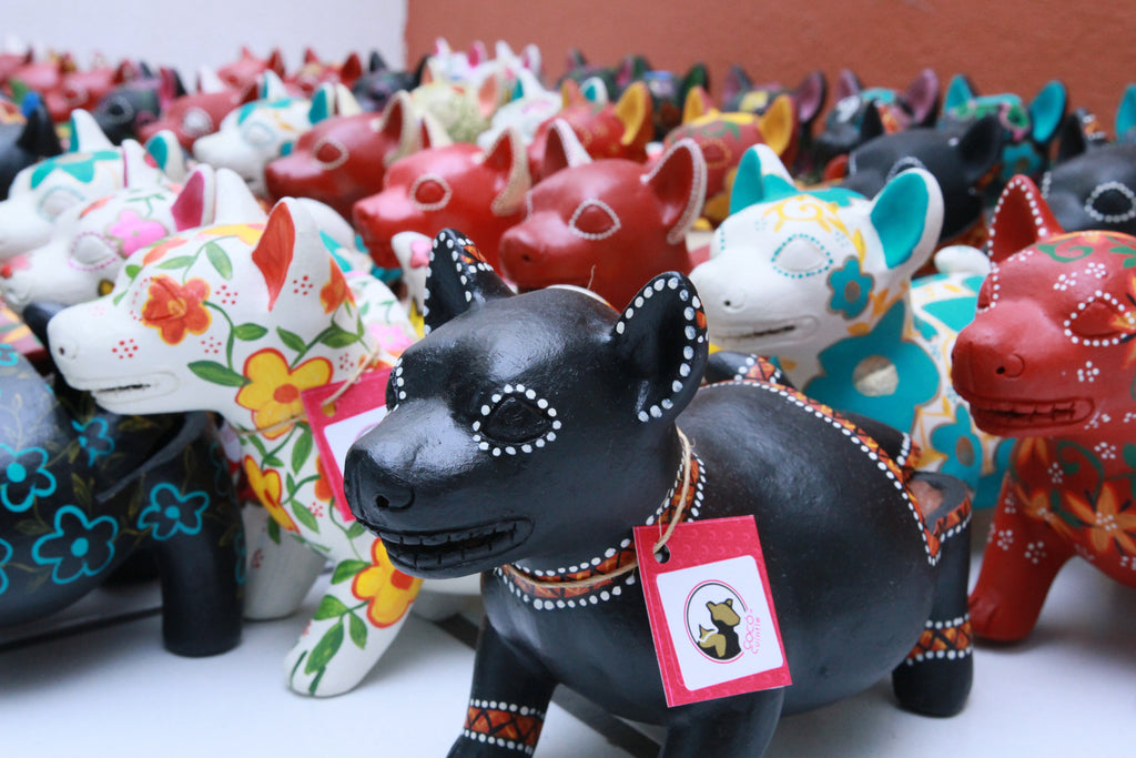 XOLOS – Cococuintle